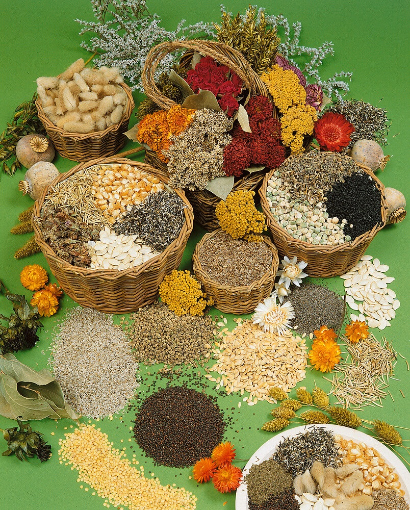 Kolekcia semien zeleniny ´ZÁKLAD´, mix semien