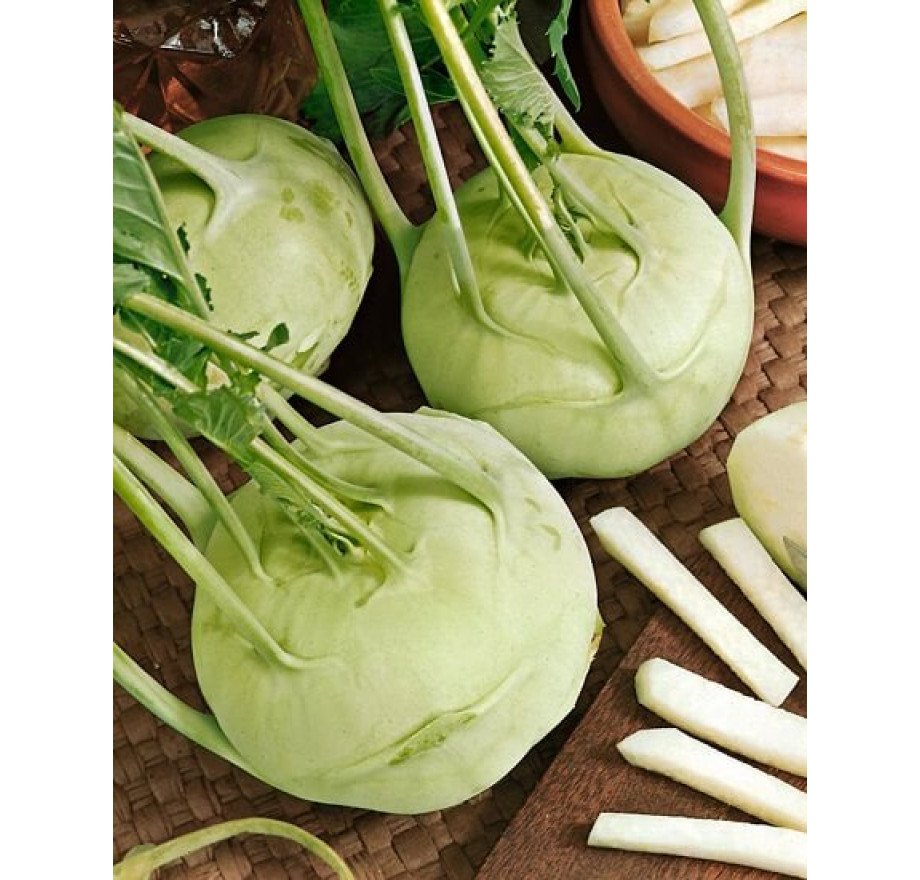 Kaleráb - online zelovoc - rastlinky.sk