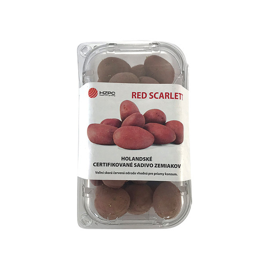 Solanum Tub. ´Agria´ , Sadbové zemiaky žlté, stredne skoré, bal. 1 kg, I.