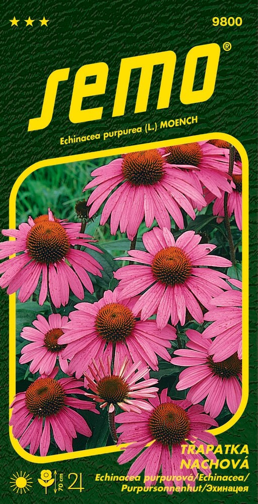 Echinacea purpurea , Echinacea purpurová, bal. 1 g