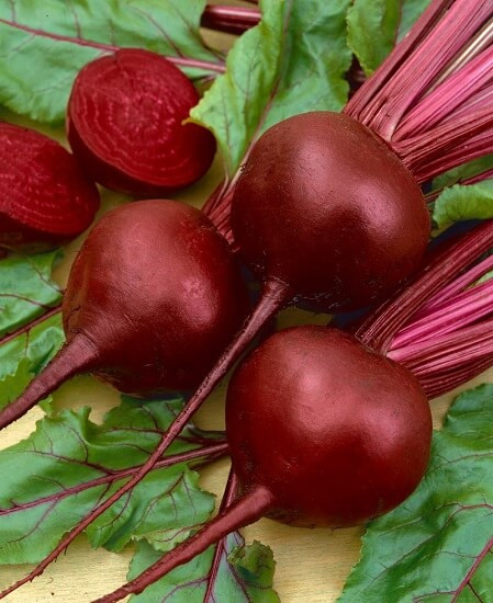 Cvikla, repa červená, kg